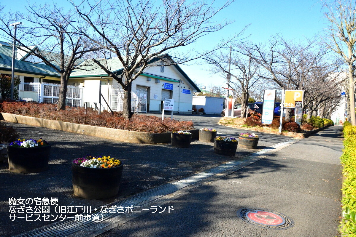 魔女の宅急便: 下手の横好き写真